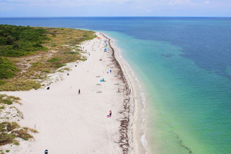 4 Interesting Facts About Florida Beaches | Carl's Van Rentals